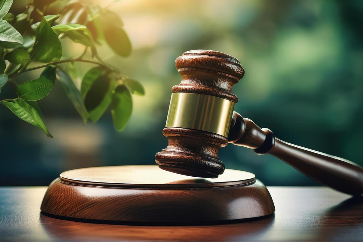 Normative ambientali: tutte le leggi che tutelano l'ambiente | Leonardo ...